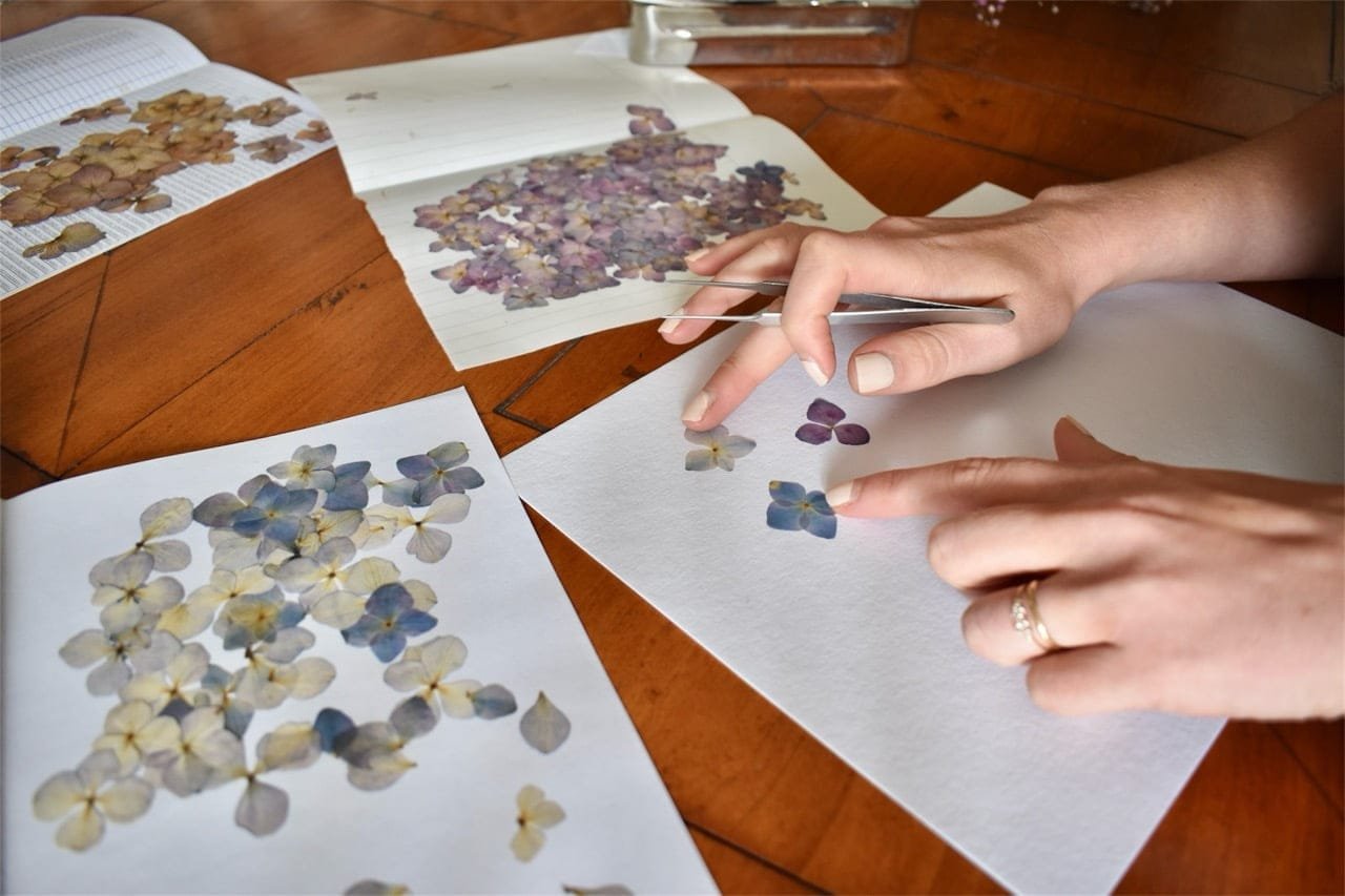 Atelier Créatif • EVJF • Teambuilding • Ecole - Pistil et Pastel