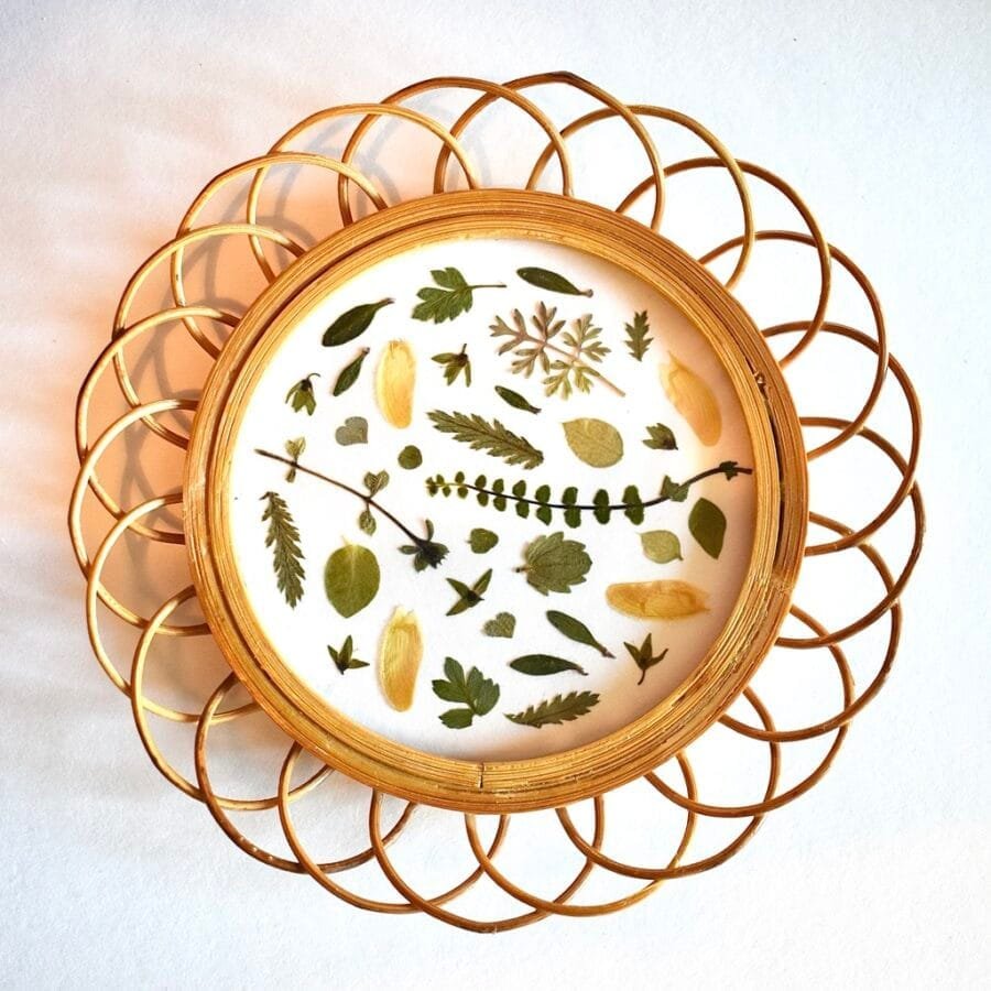 Mini Monde Vert Pistil Et Pastel